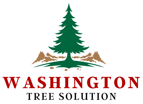 Washington Tree Solution